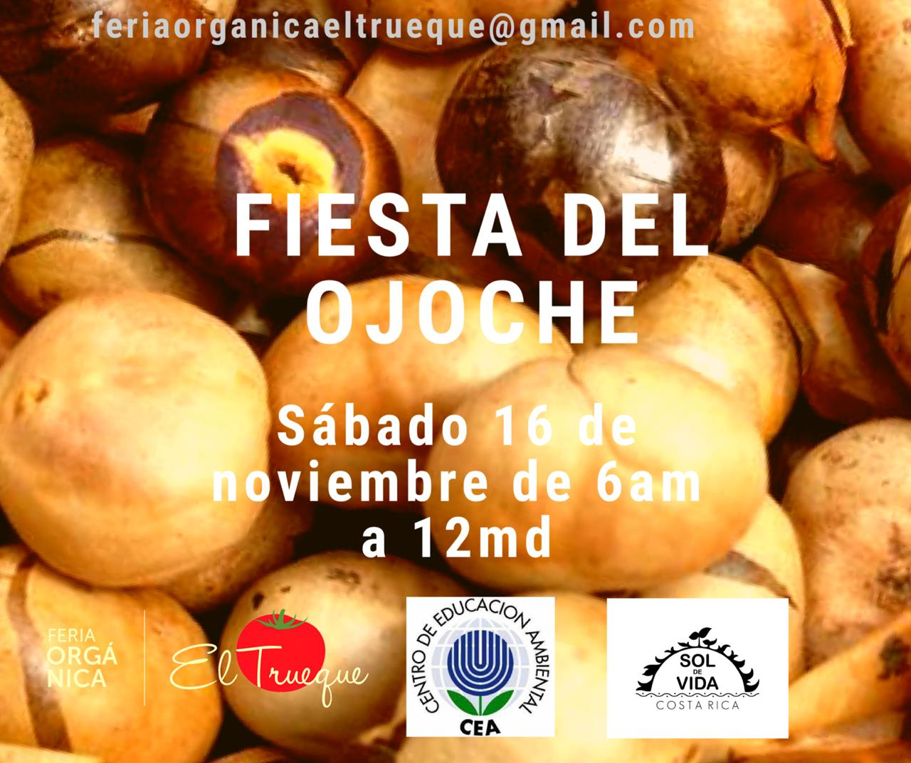 Fiesta del Ojoche - SurcosSurcos