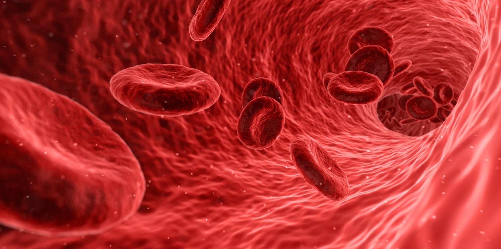 Importancia de la Hemofilia - 17 de abril Día Mundial de la Hemofilia ...