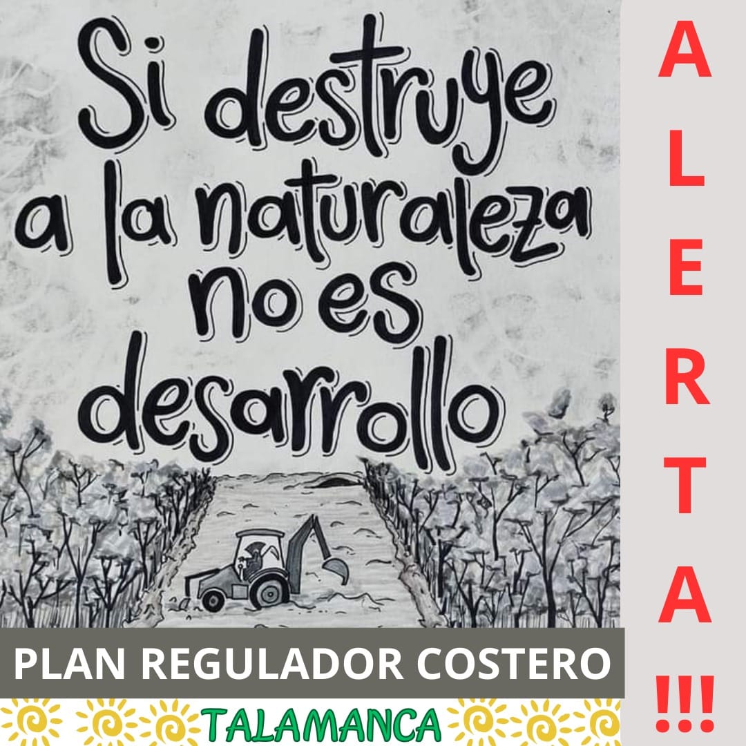 Marco Levy Virgo responde artículo suscrito por Edwin Patterson ...