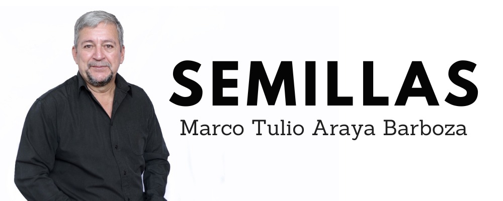 El gobernante ignorante - SURCOS Digital